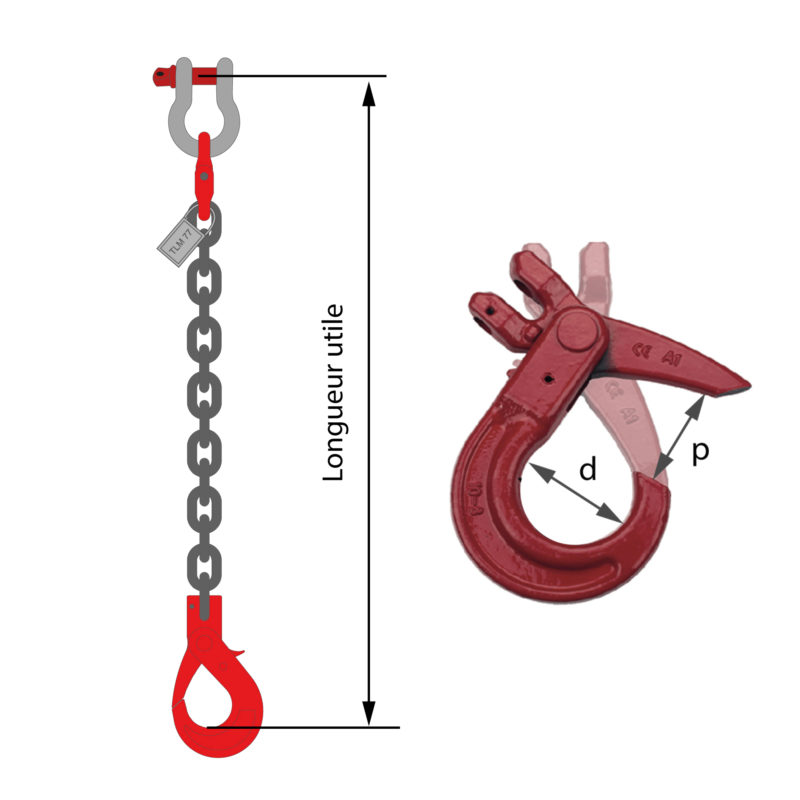 Elingue en chaîne 2 brin avec Manille Lyre boulonnée goupillée et ...